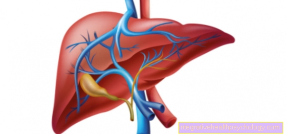 D-DIMEREN - DIAGNOSE