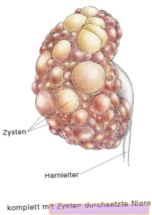 HOMEOPATIE U úLŮ SE SYMPTOMY, JAKO JE BOLEST A SVĚDĚNí, SE ZHORŠUJE ...
