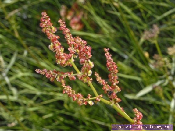 D-DIMEREN - DIAGNOSE