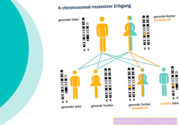 LEVENSVERWACHTING MET LONGFIBROSE - INWENDIG MEDICIJN